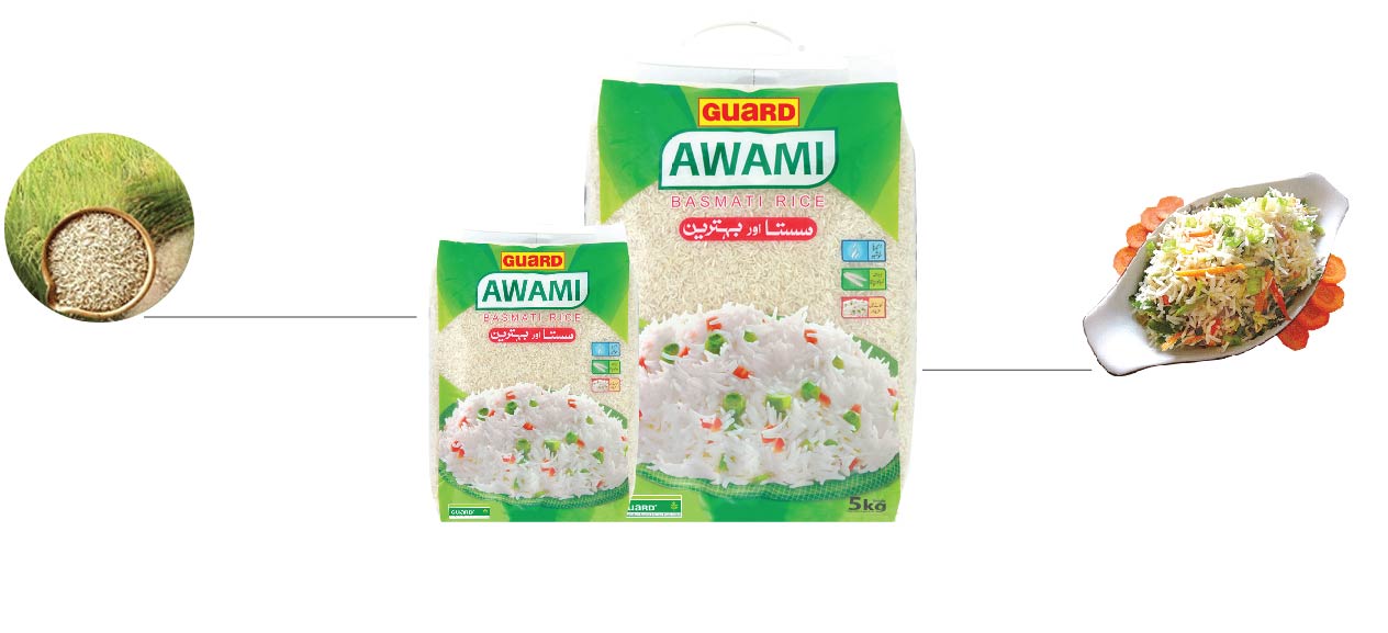 Home [guardrice.com]